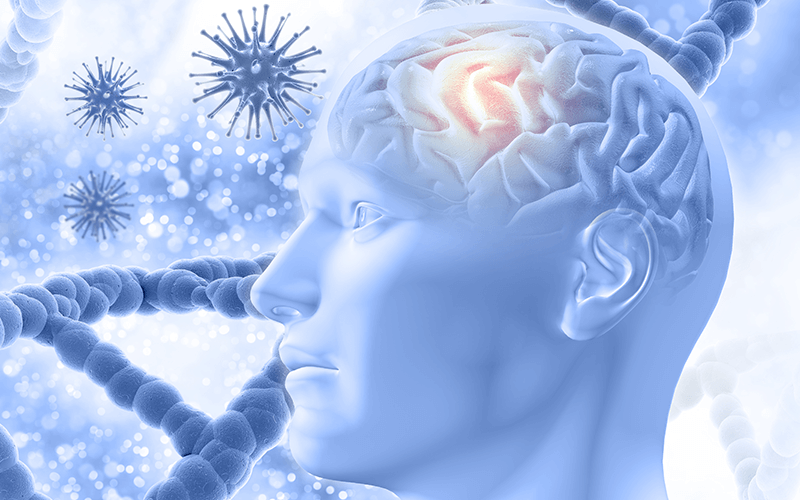 La Psiche e le sue principali funzioni